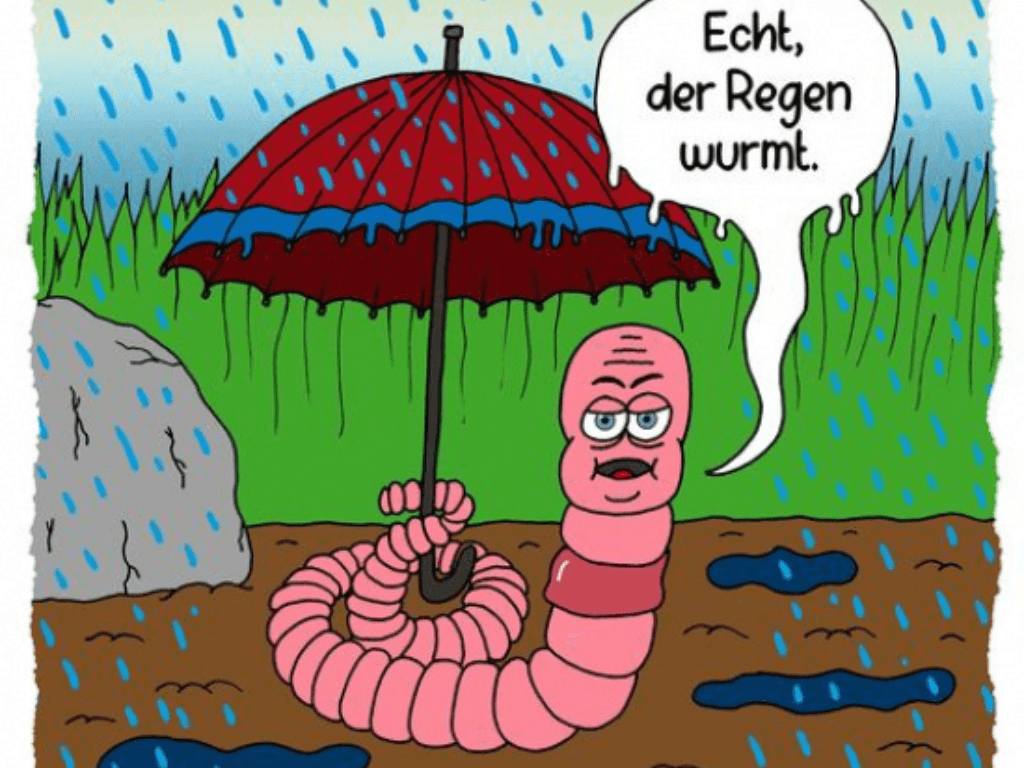 Viel Regen lustig: 120 Humorvolle Sprüche für Regentage 🏖️