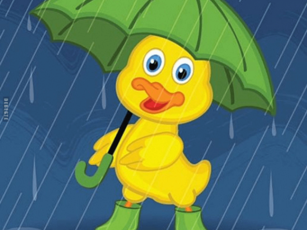 Viel Regen lustig: 120 Humorvolle Sprüche für Regentage 🏖️