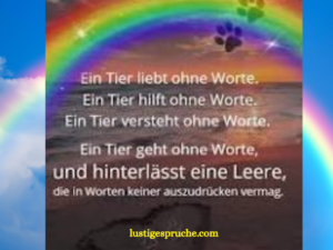 Die 100 schönsten Regenbogen Sprüche 🌈 top Sprüche - lustige sprüche